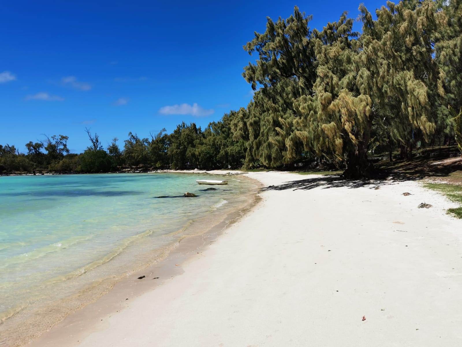 Limited Partnership - Trustmore